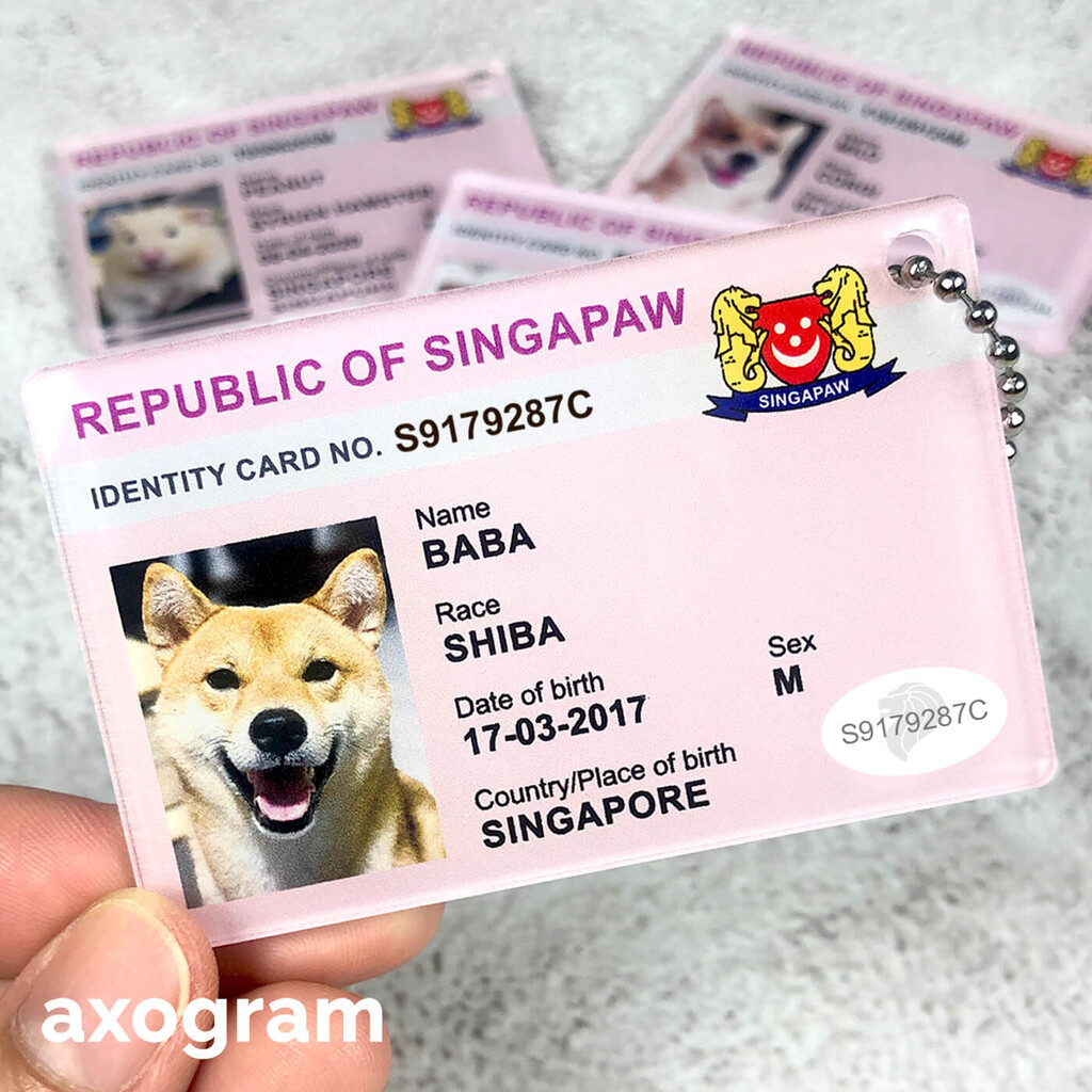 Unique & personalized items for your furry friends! - axogram